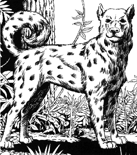 Cooshee - Elven Hound